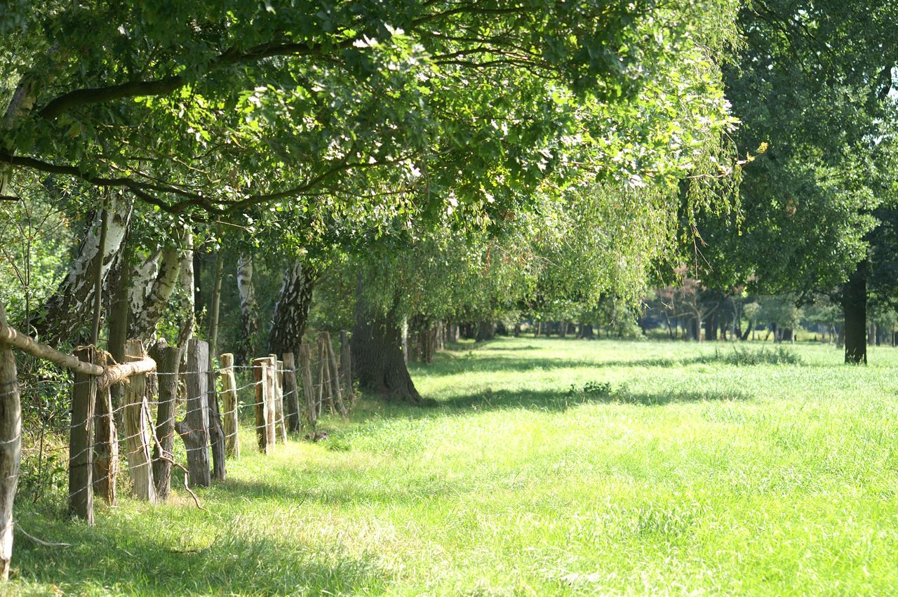 Heimatverein-Rieste, Heimatverein Rieste - Mein schönes Rieste
