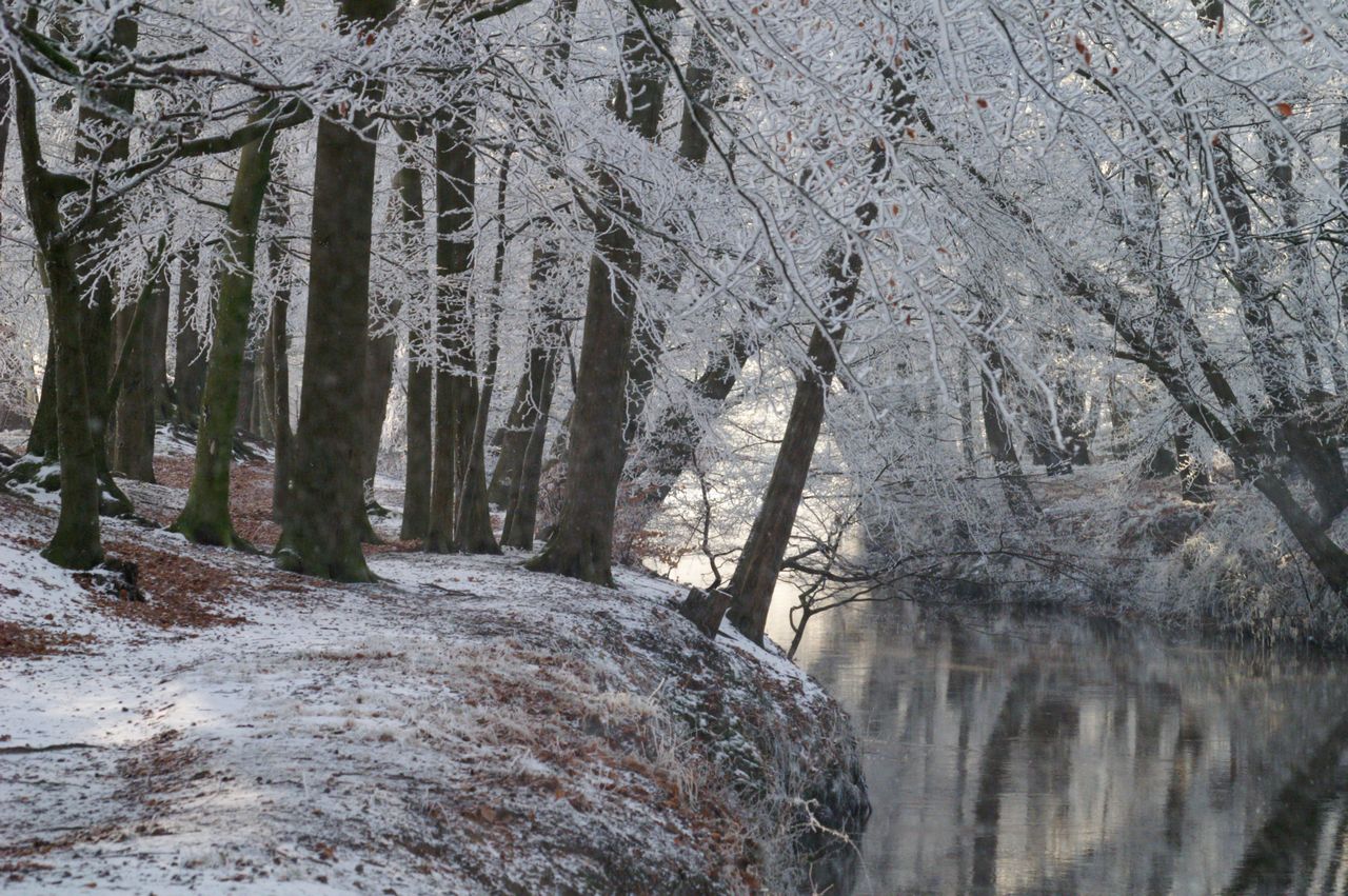 Heimatverein-Rieste, Heimatverein Rieste - Mein schönes Rieste