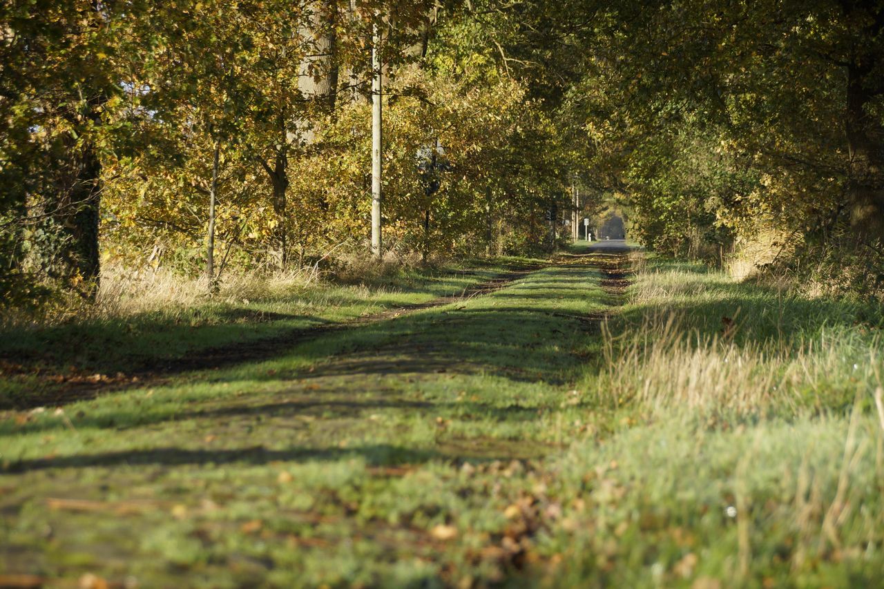 Heimatverein-Rieste, Heimatverein Rieste - Mein schönes Rieste
